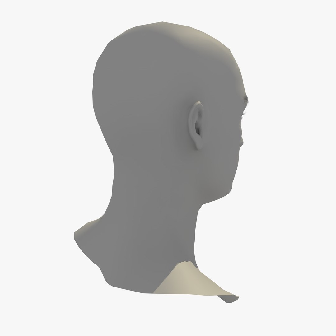 Realistic Head Base Mesh 3D Model - TurboSquid 1438203