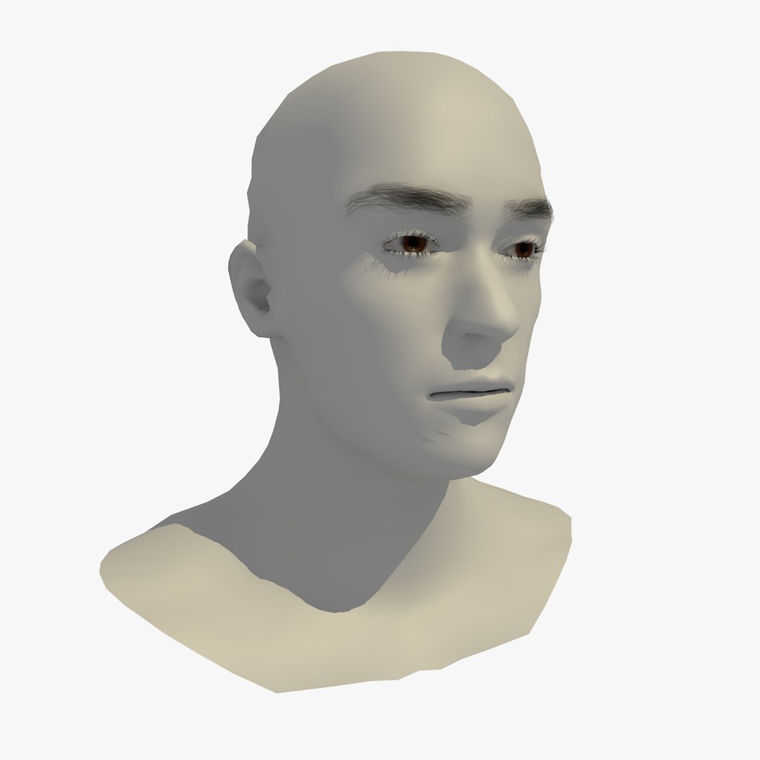 Realistic Head Base Mesh 3D Model - TurboSquid 1438203