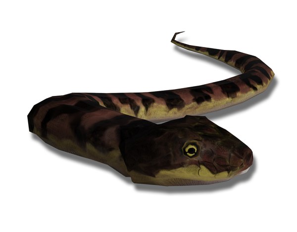 modelo 3d Culebra - TurboSquid 1310885