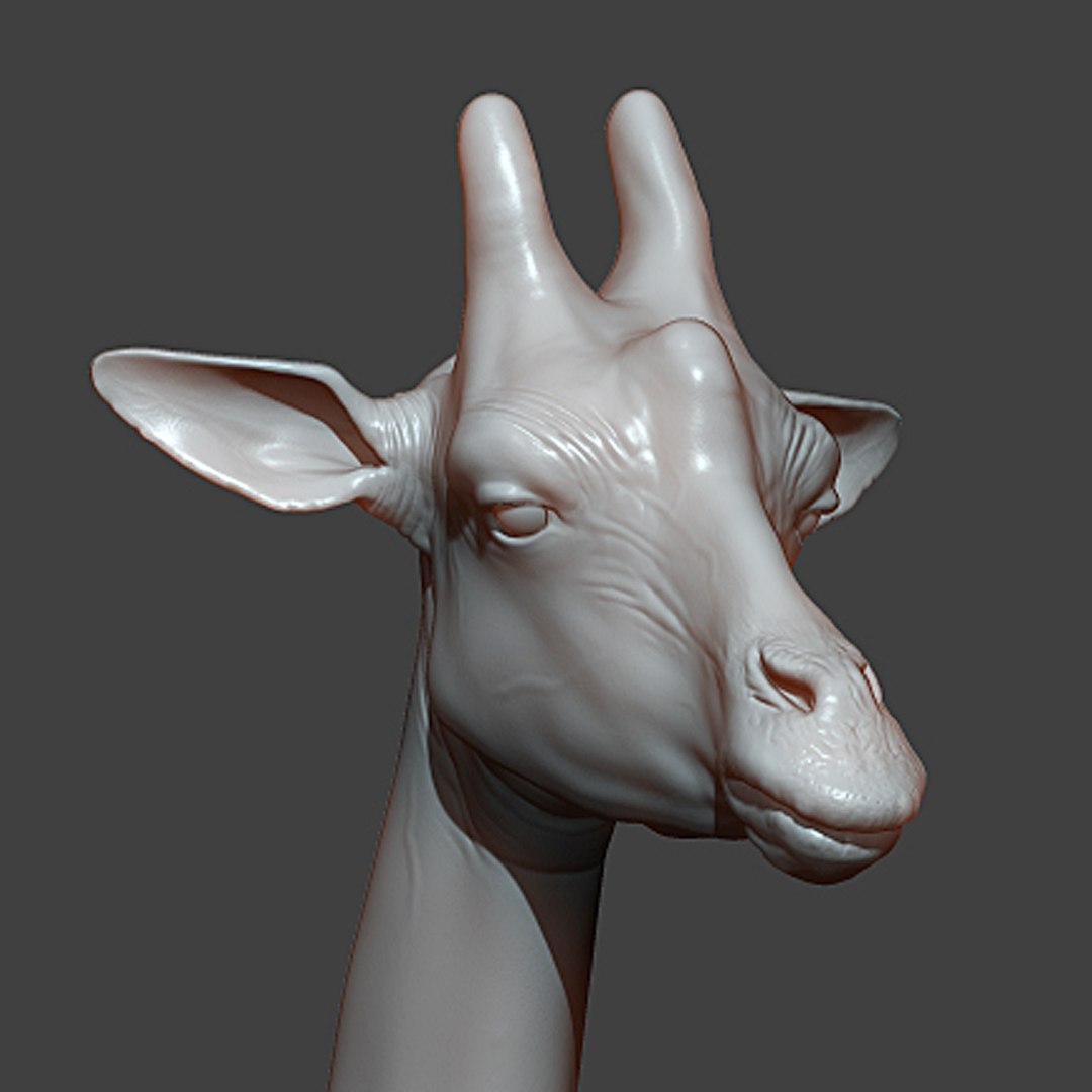 giraffe head shape