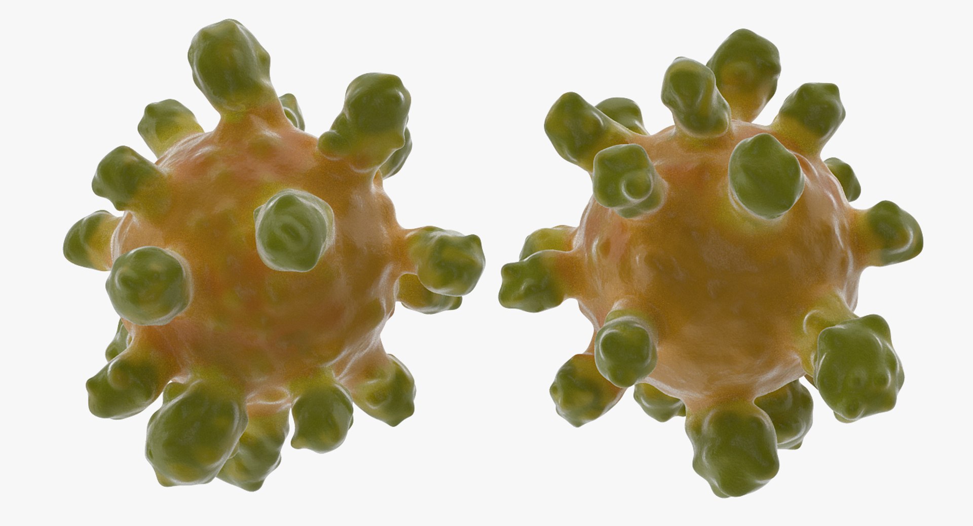 3D Measles Virus Model - TurboSquid 1350200