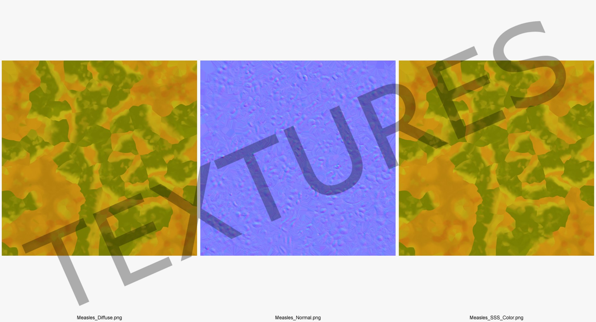 3D Measles Virus Model - TurboSquid 1350200