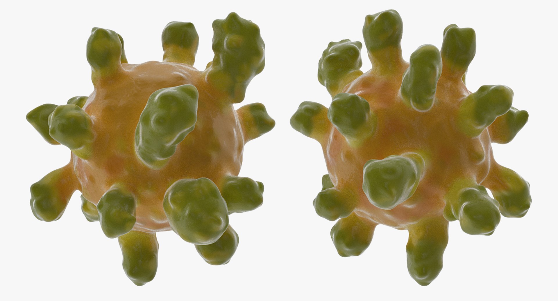 3D Measles Virus Model - TurboSquid 1350200