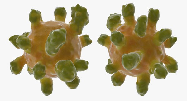 3D measles virus model - TurboSquid 1350200