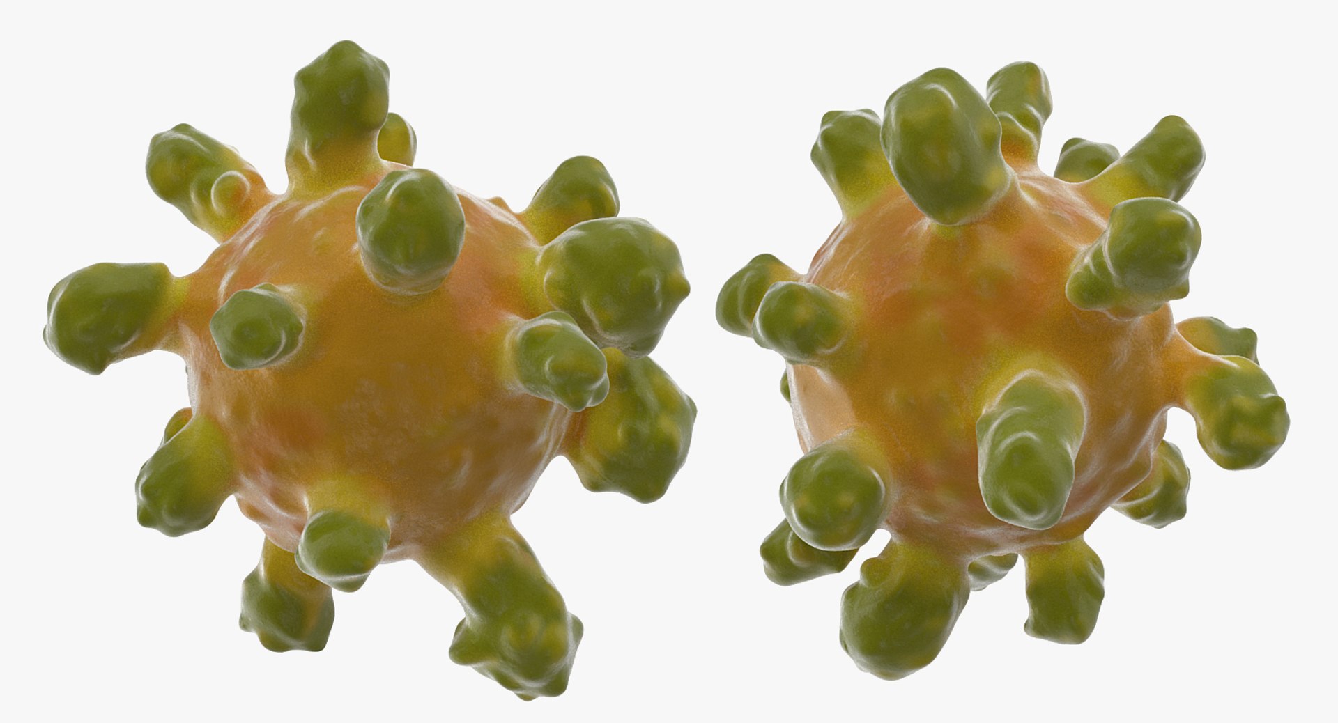 3D Measles Virus Model - TurboSquid 1350200