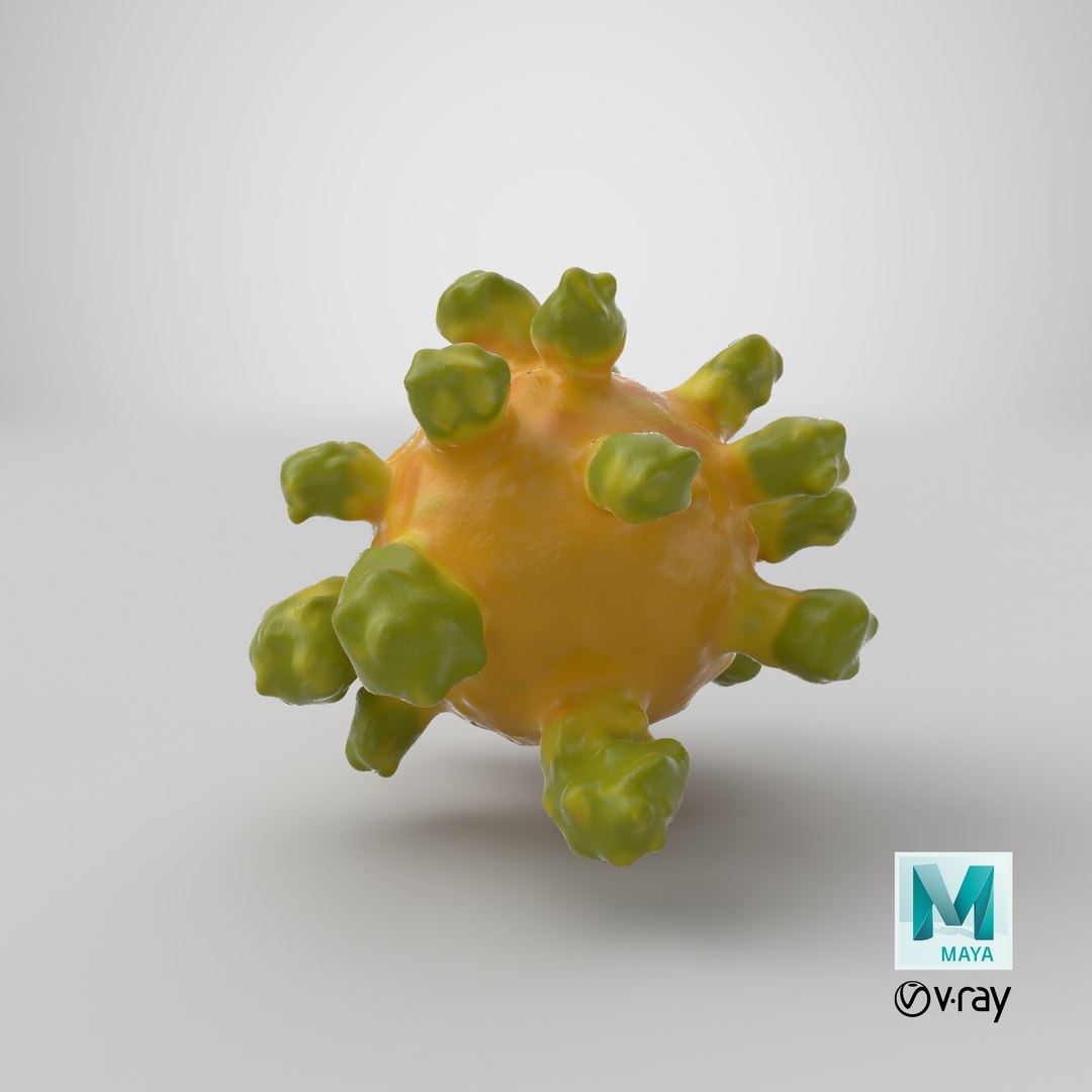 3D measles virus model - TurboSquid 1350200