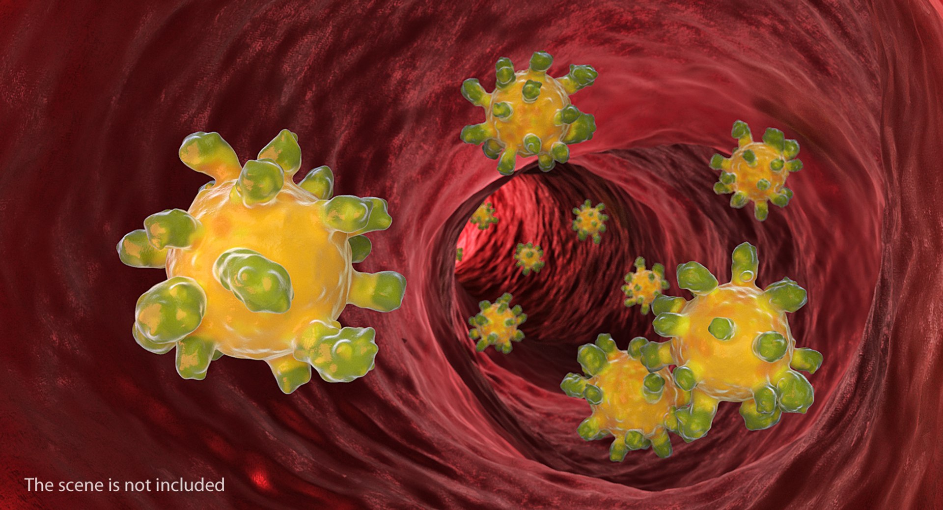 3D Measles Virus Model - TurboSquid 1350200