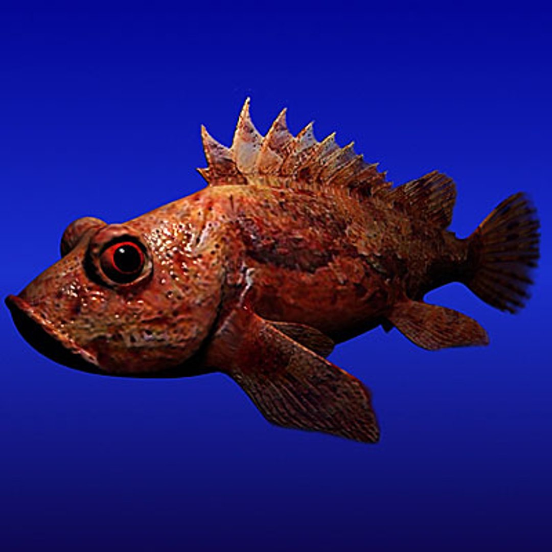 3d Scorpionfish Fish Model