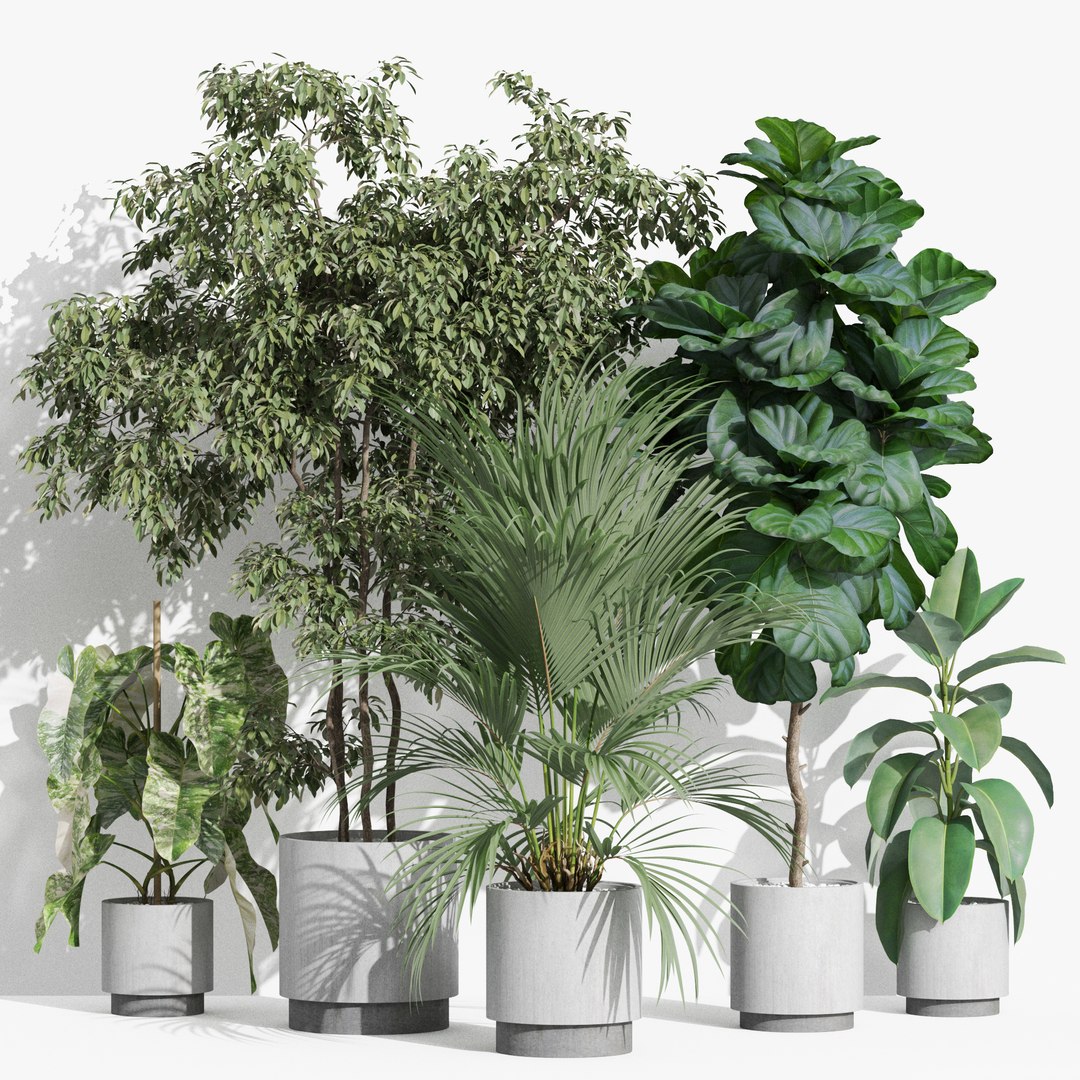 Plants Collection 1002 3D Model - TurboSquid 2141614