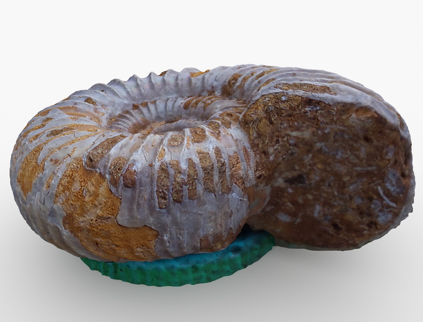 3D Ammonite Fossil Model - TurboSquid 1835994