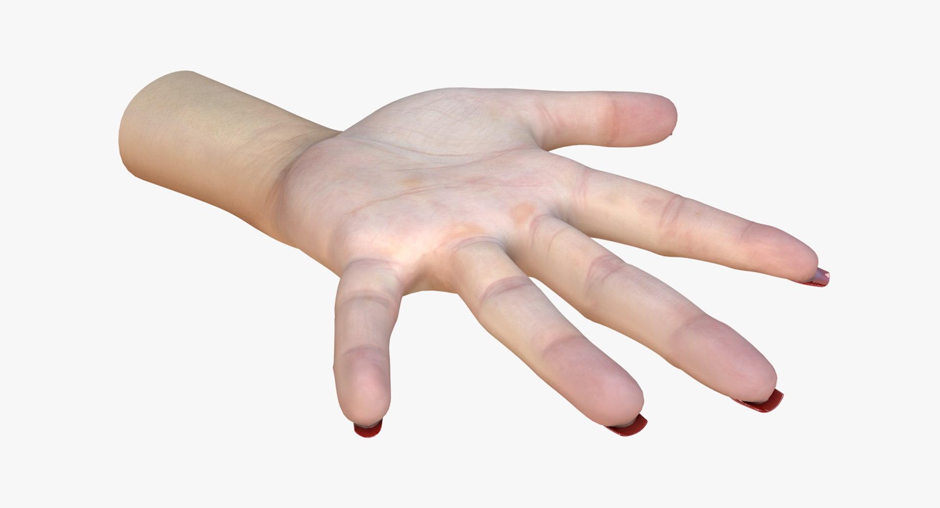 3D modeled hand model - TurboSquid 1536083