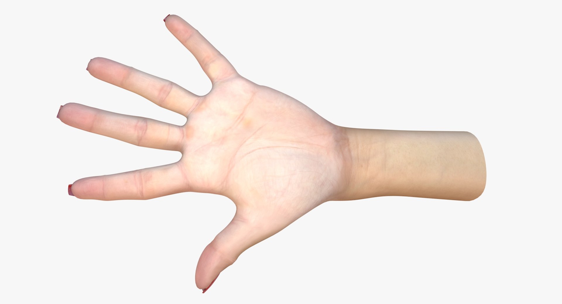 3D modeled hand model - TurboSquid 1536083