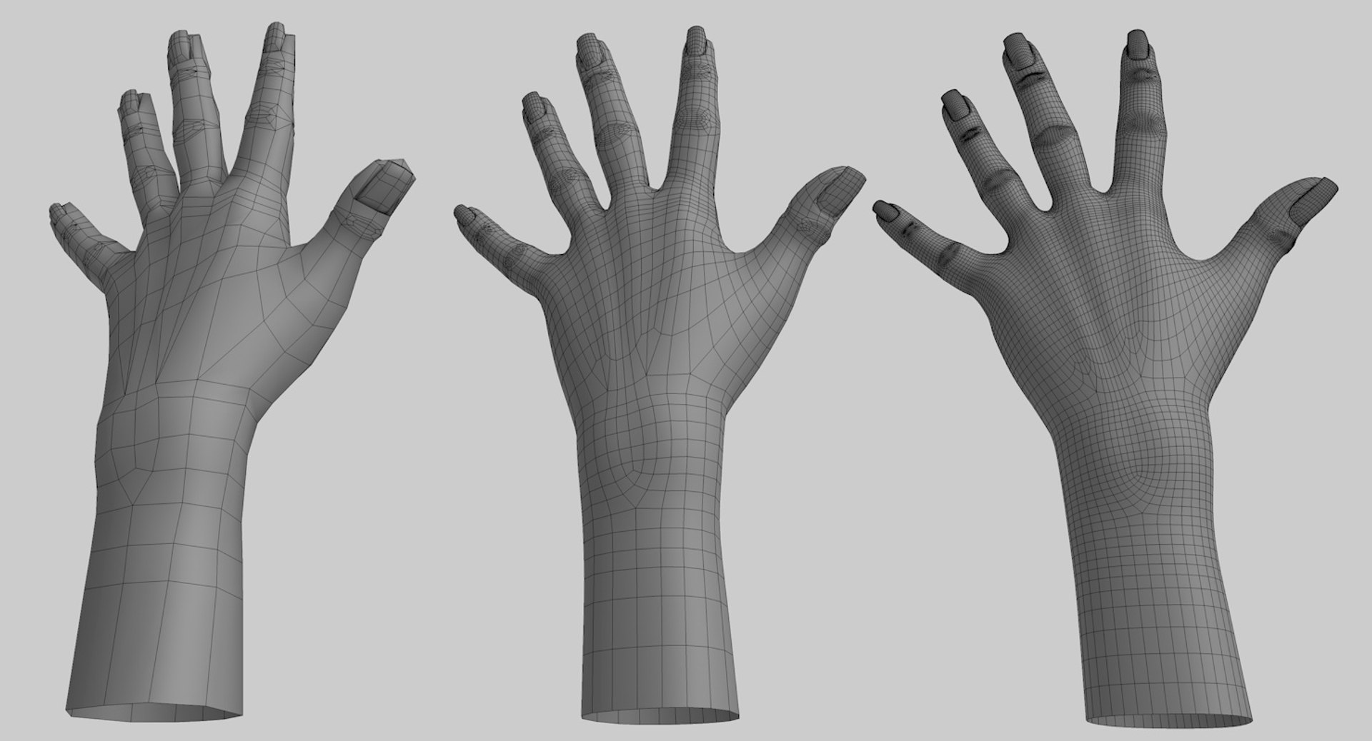 3D Modeled Hand Model - TurboSquid 1536083
