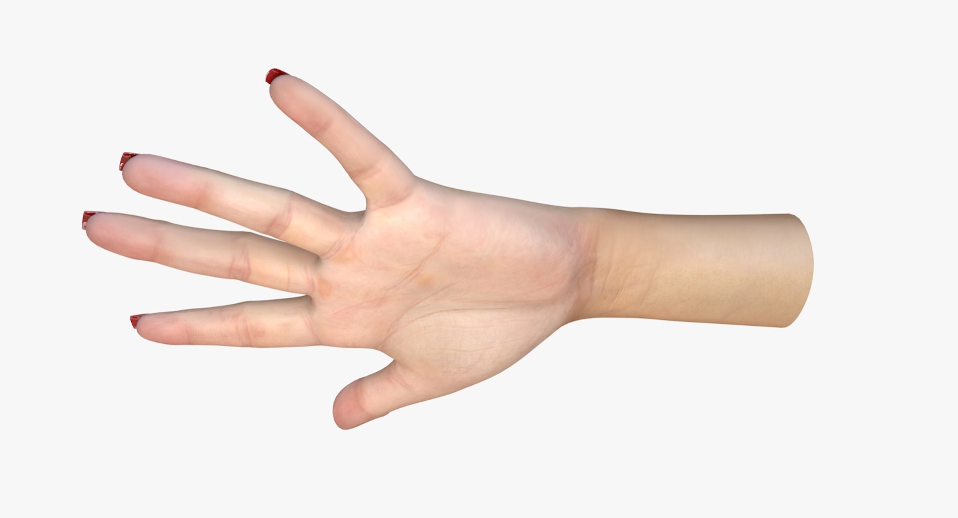 3D modeled hand model - TurboSquid 1536083