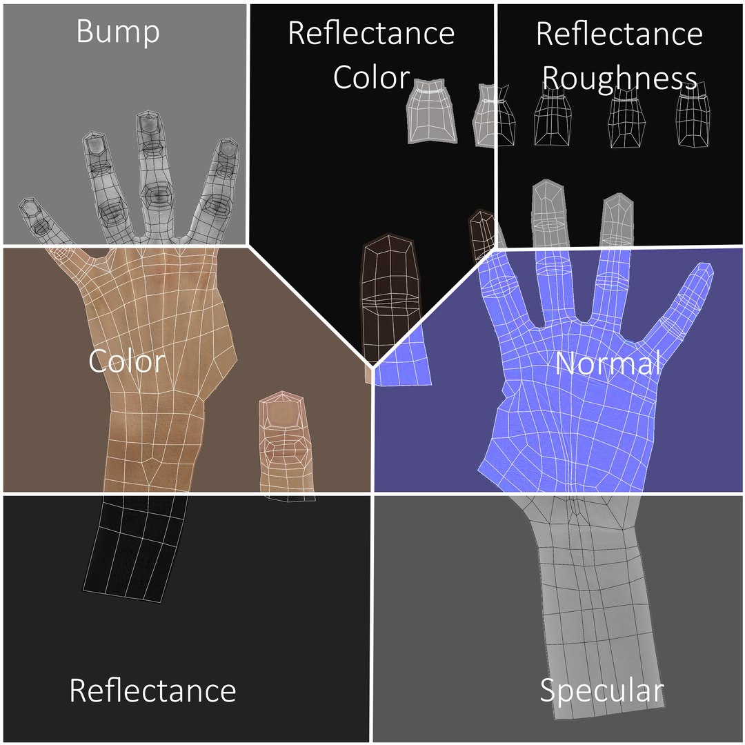 3D Modeled Hand Model - TurboSquid 1536083
