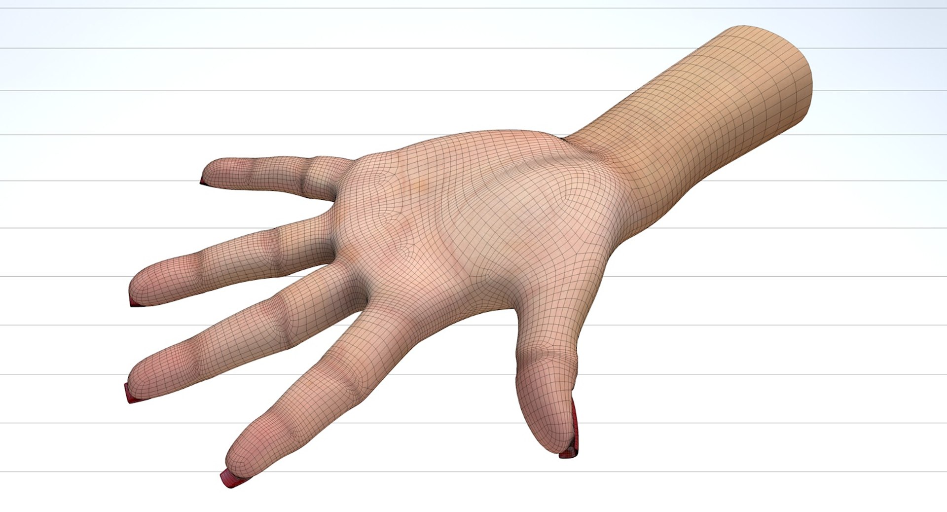 3D Modeled Hand Model - TurboSquid 1536083