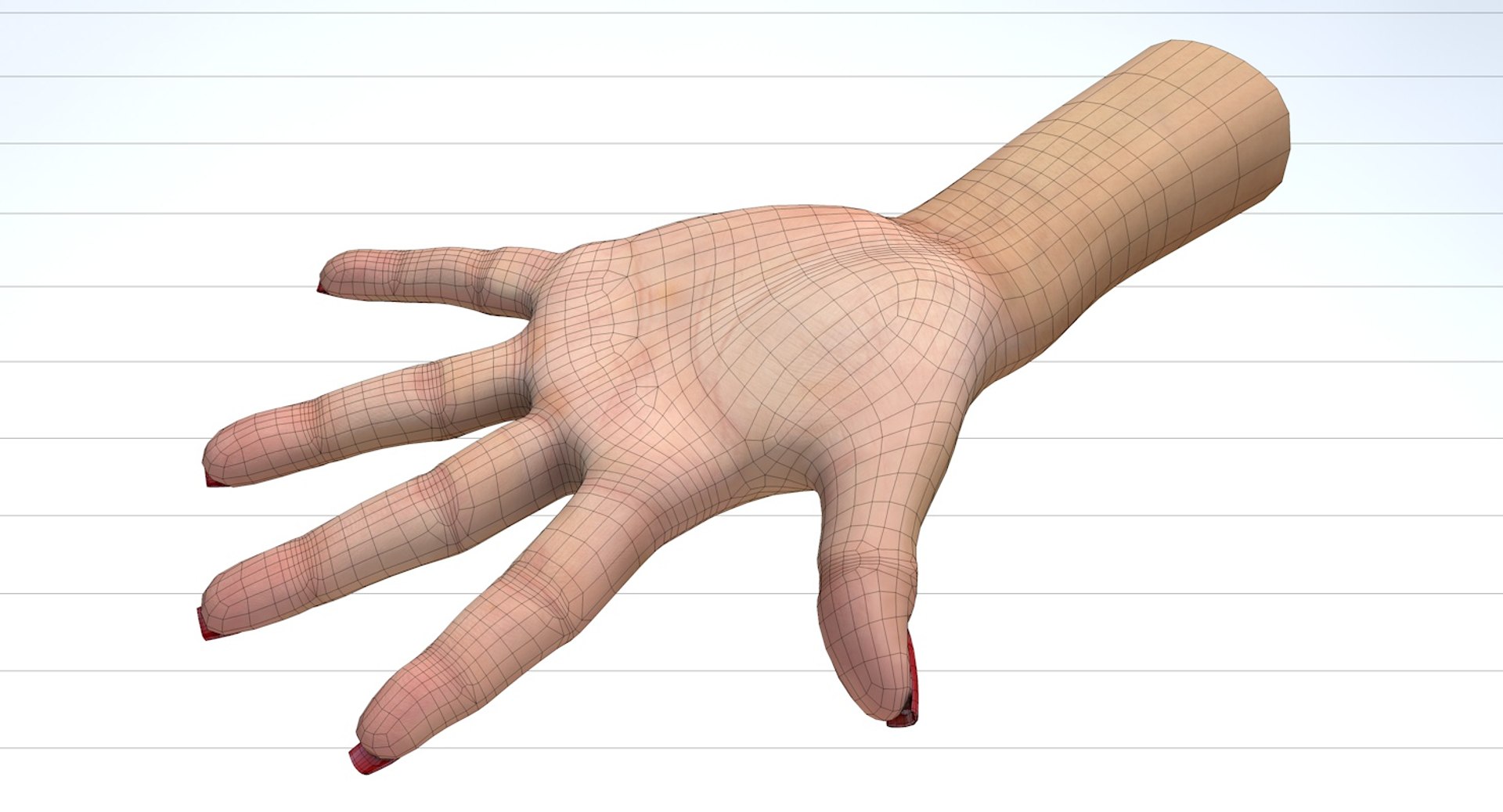 3D Modeled Hand Model - TurboSquid 1536083