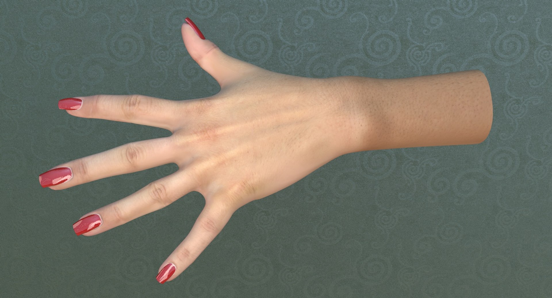 3D Modeled Hand Model - TurboSquid 1536083