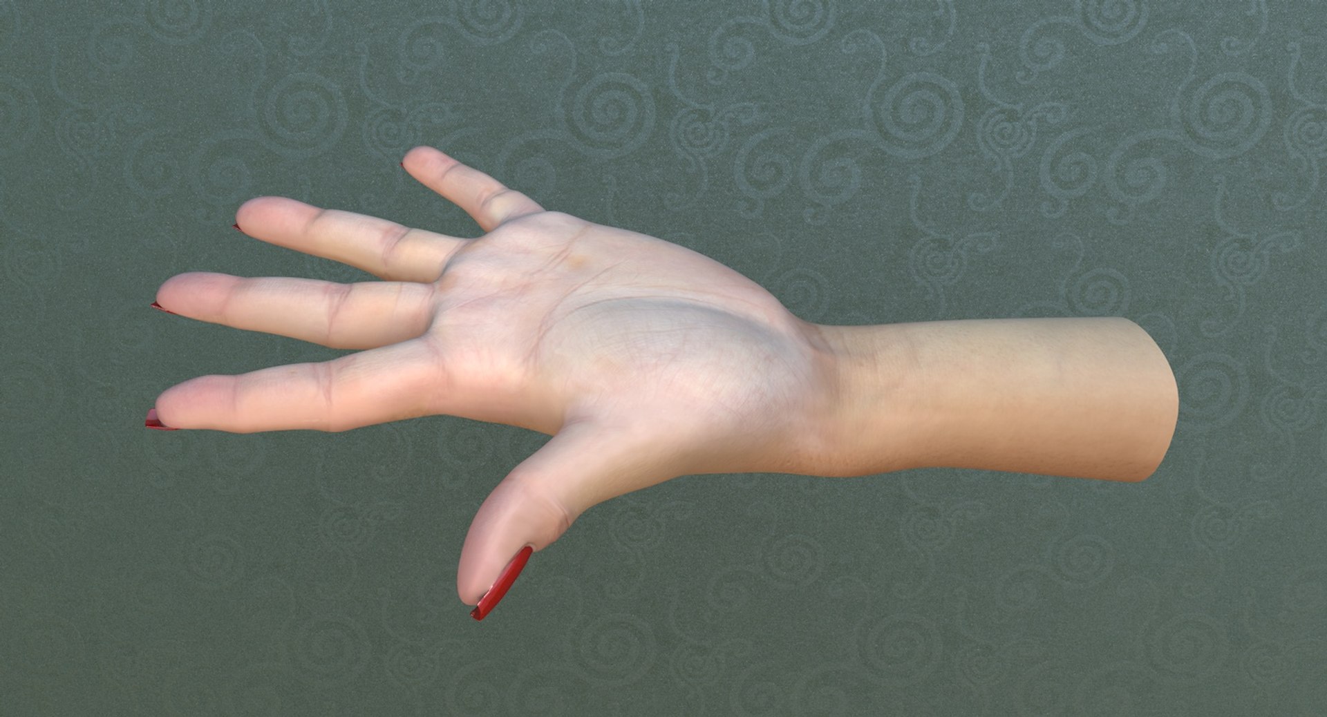 3D Modeled Hand Model - TurboSquid 1536083