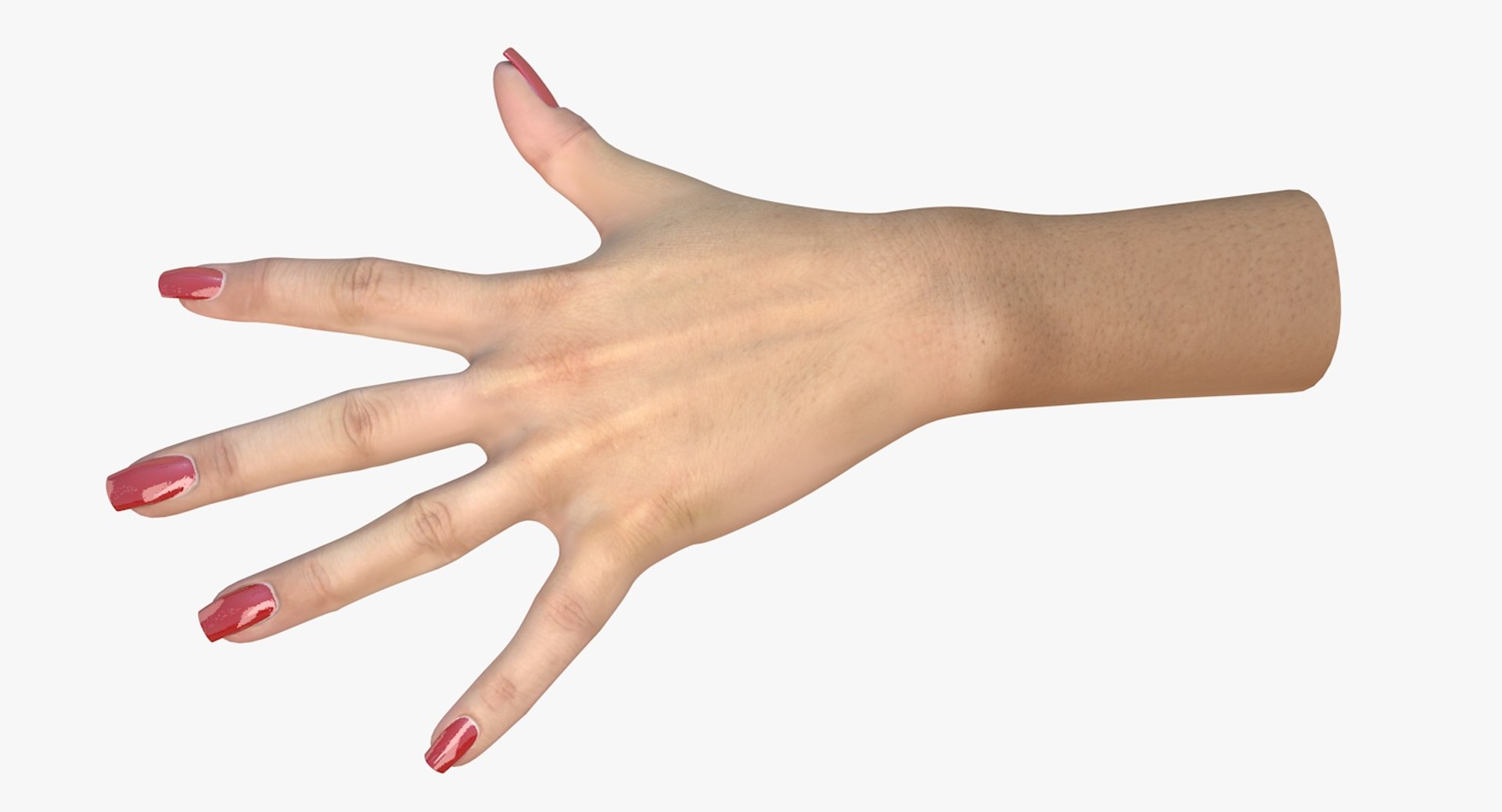 3D modeled hand model - TurboSquid 1536083