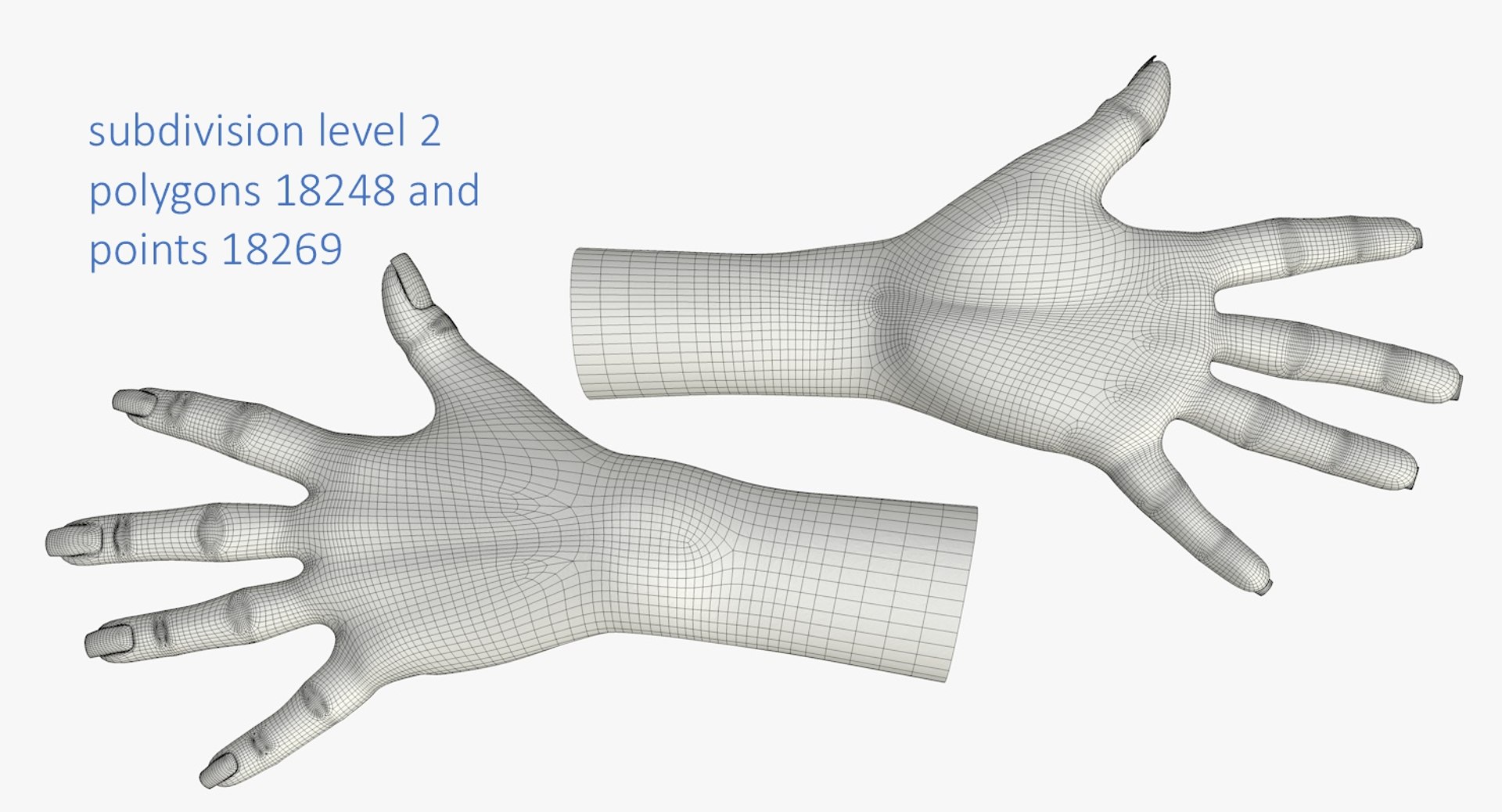 3D Modeled Hand Model - TurboSquid 1536083