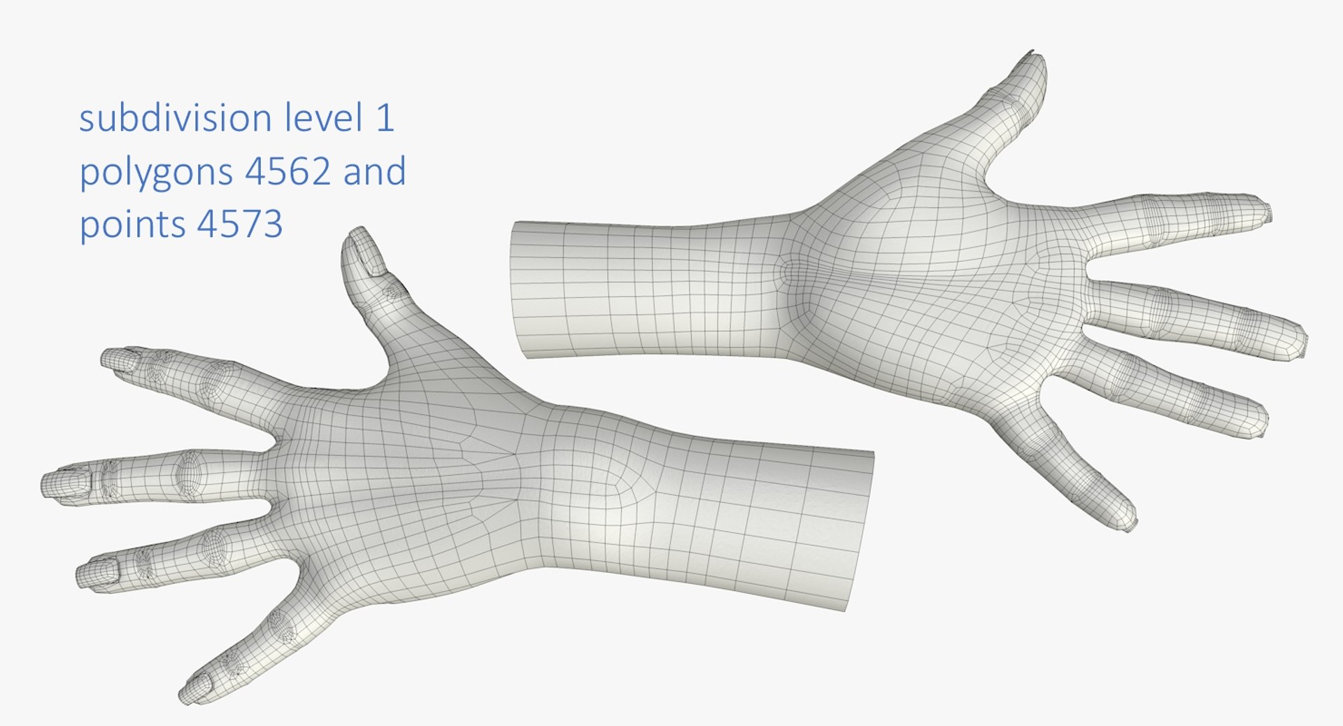 3D Modeled Hand Model - TurboSquid 1536083