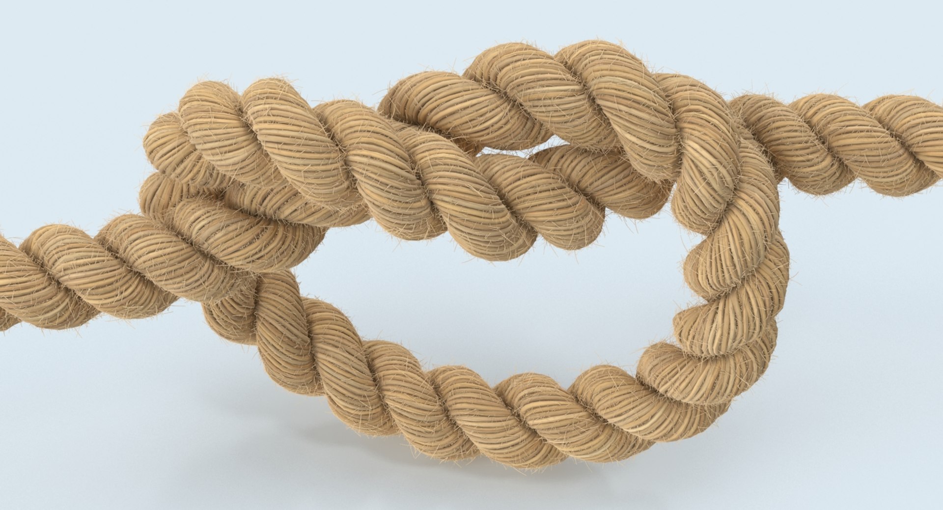 3d Model Rope-with-knot
