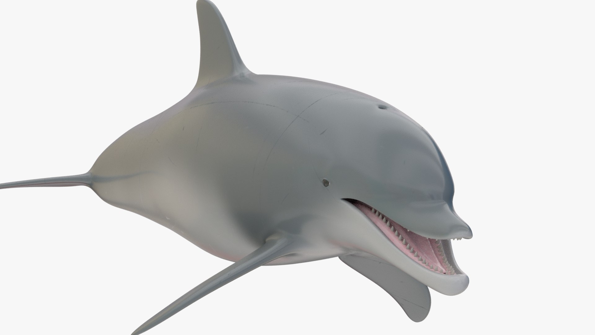 3D 4K Textures Dolphin No Rigging Model - TurboSquid 2035697