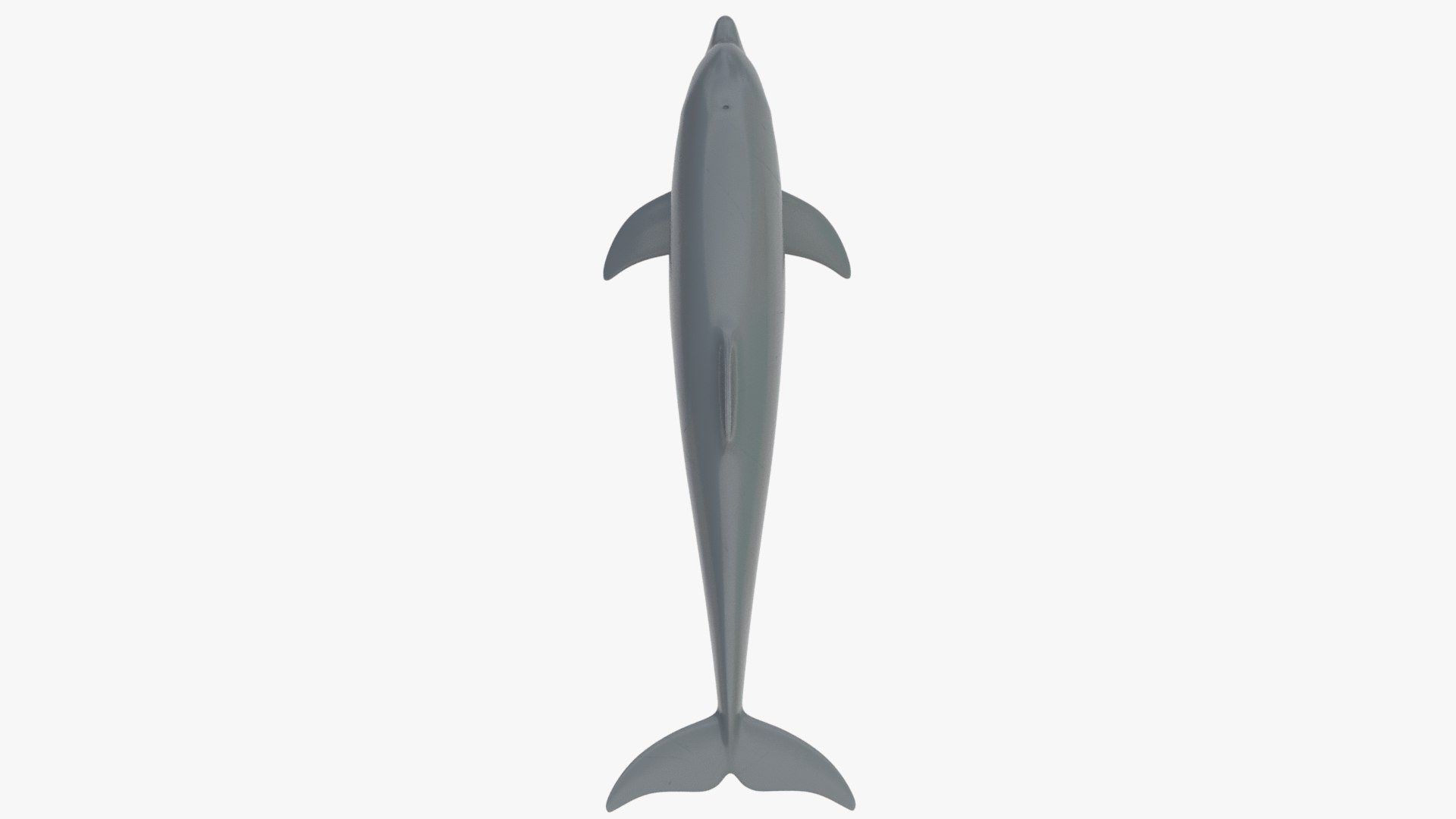3D 4K Textures Dolphin No Rigging Model - TurboSquid 2035697