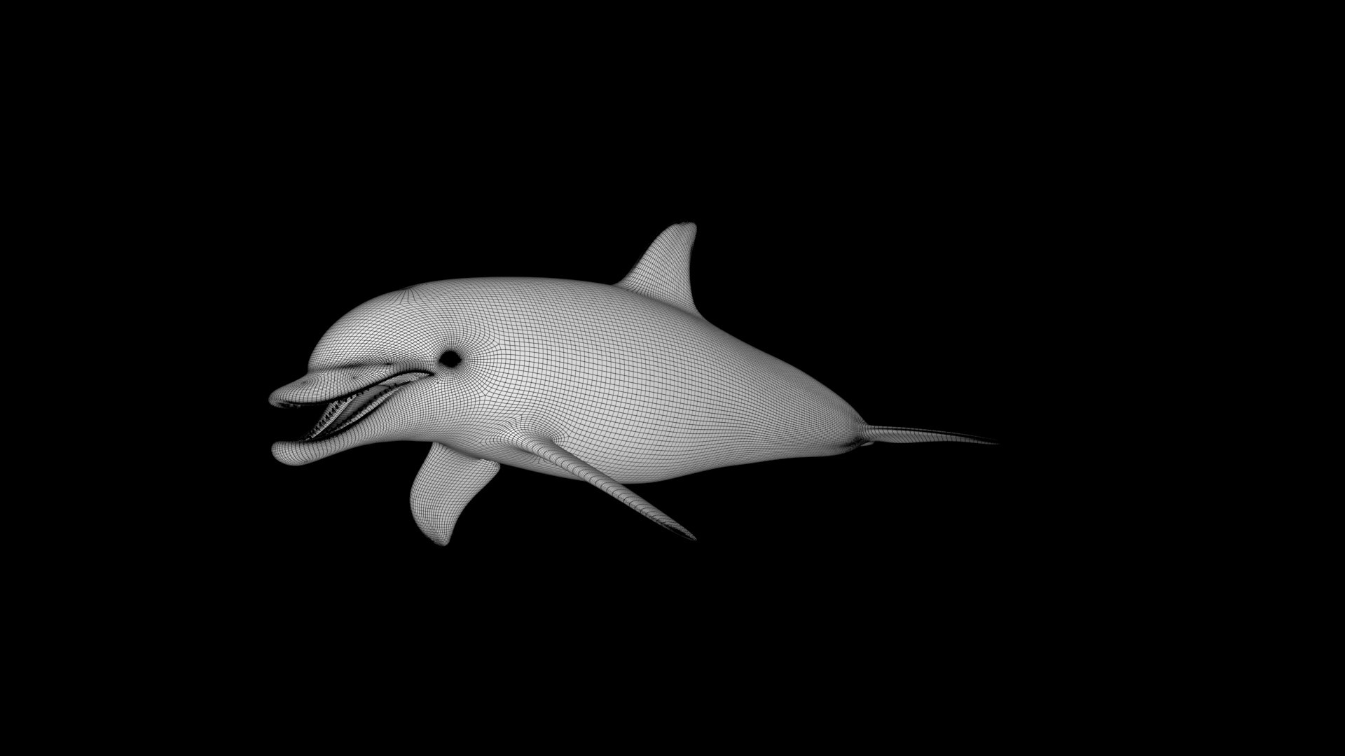 3D 4K Textures Dolphin No Rigging Model - TurboSquid 2035697