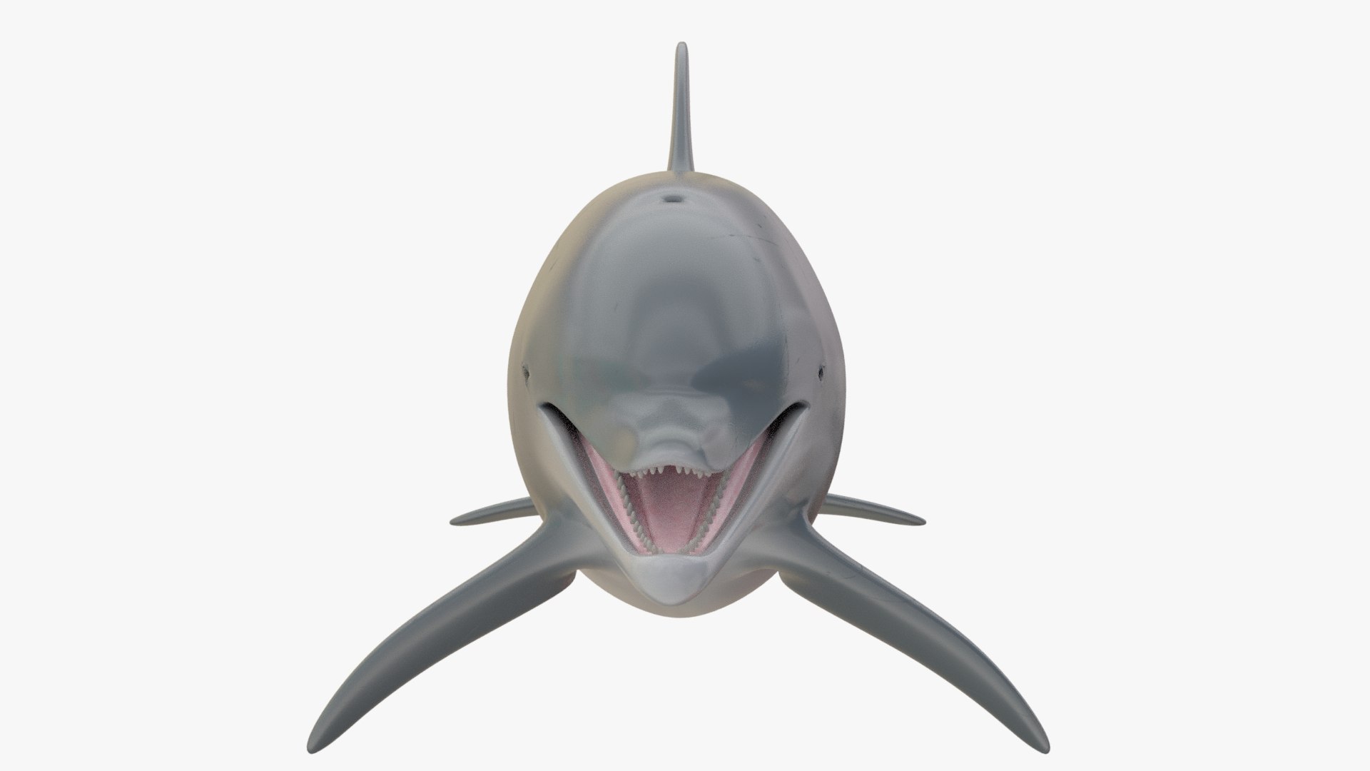 3D 4K Textures Dolphin No Rigging Model - TurboSquid 2035697