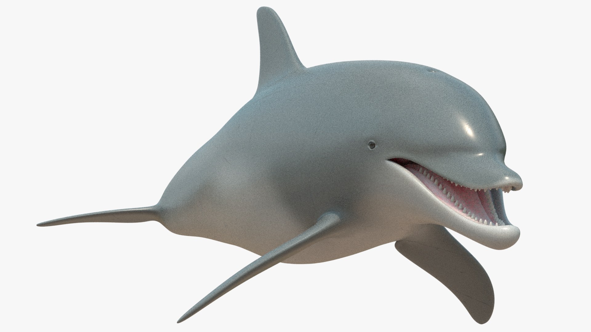 3D 4K Textures Dolphin No Rigging Model - TurboSquid 2035697