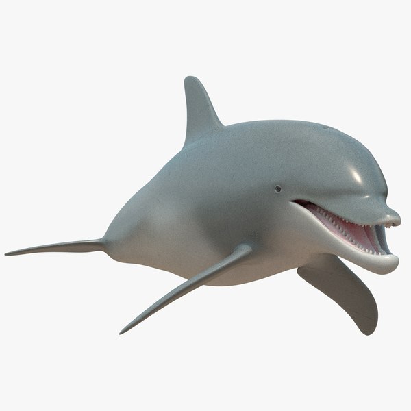 3D 4K Textures Dolphin No Rigging model - TurboSquid 2035697