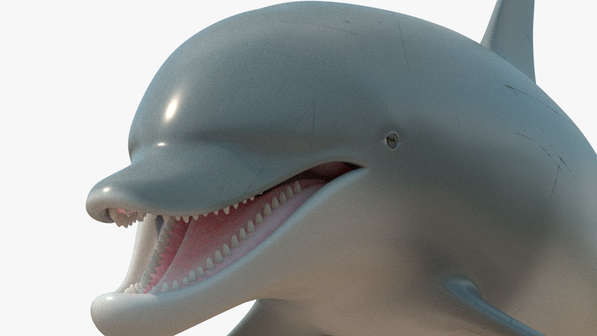 3D 4K Textures Dolphin No Rigging Model - TurboSquid 2035697