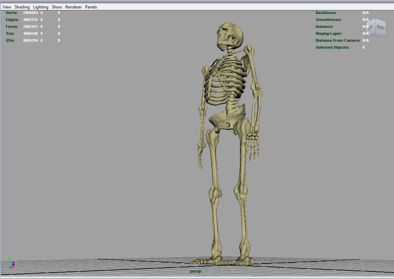 Skeleton Body 3d Obj