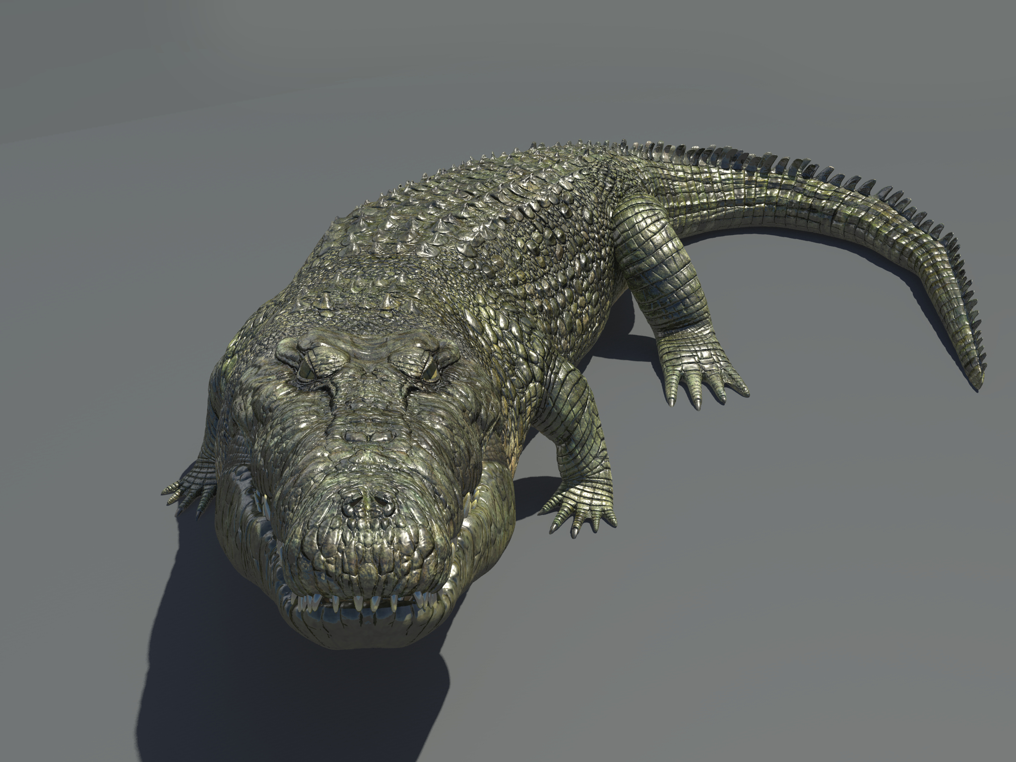 3d realistic crocodile rigged model