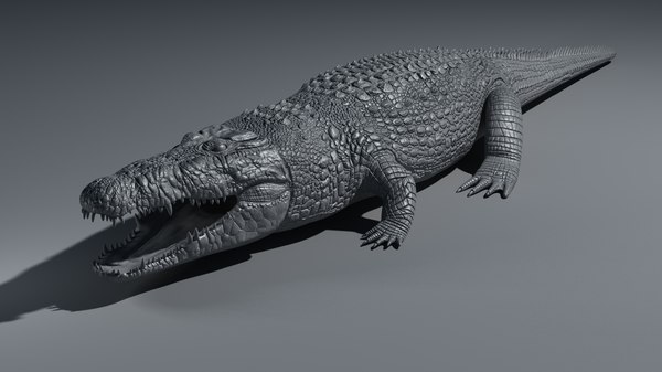 3d realistic crocodile rigged model