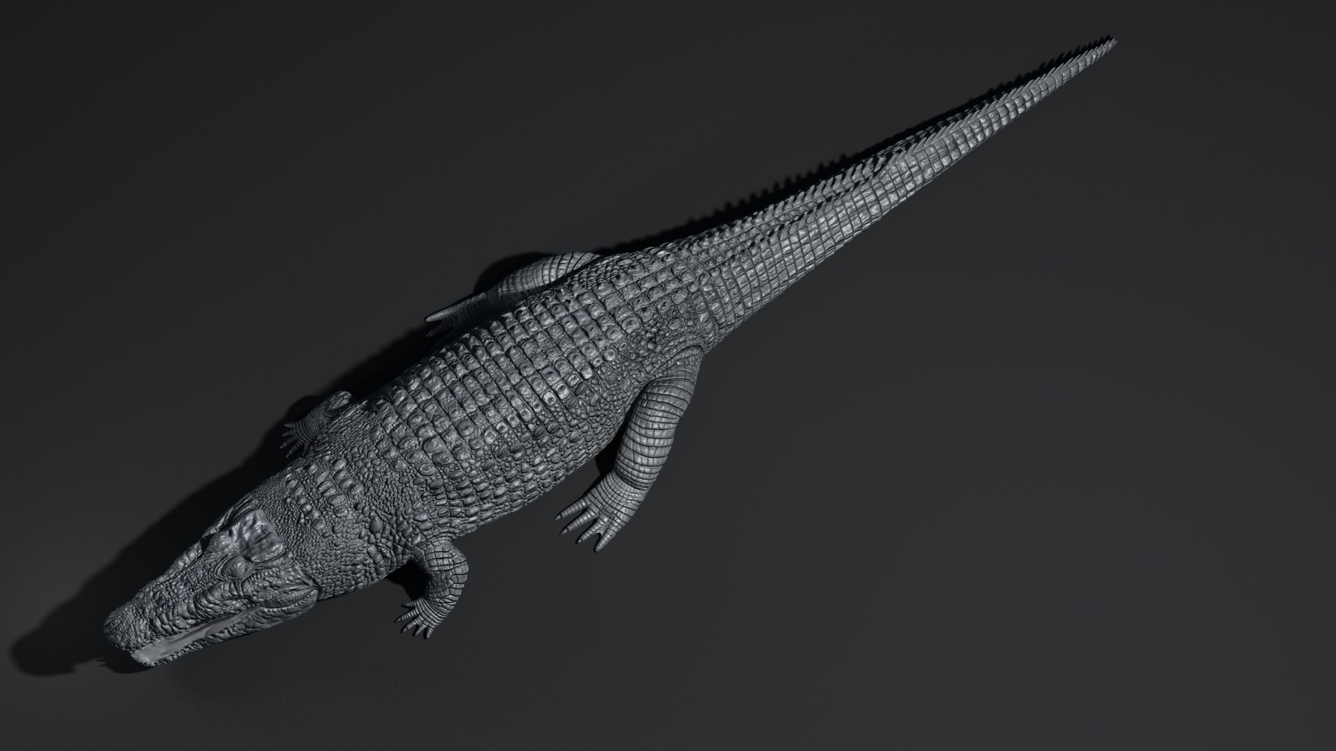 3d realistic crocodile rigged model