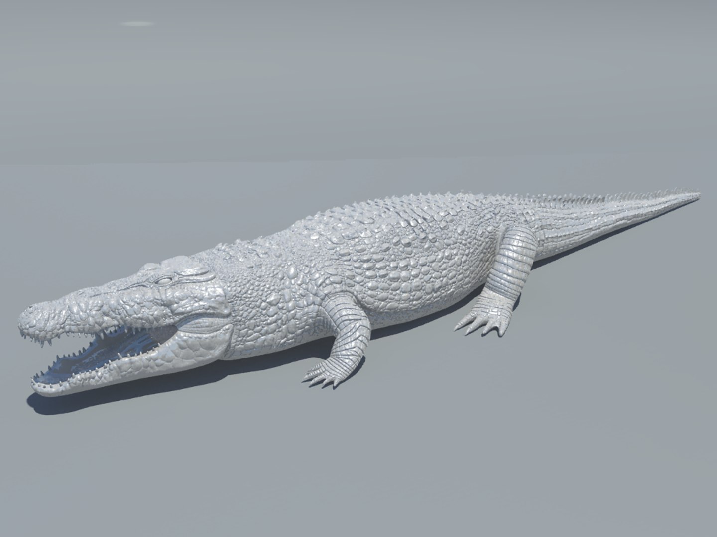 3d realistic crocodile rigged model
