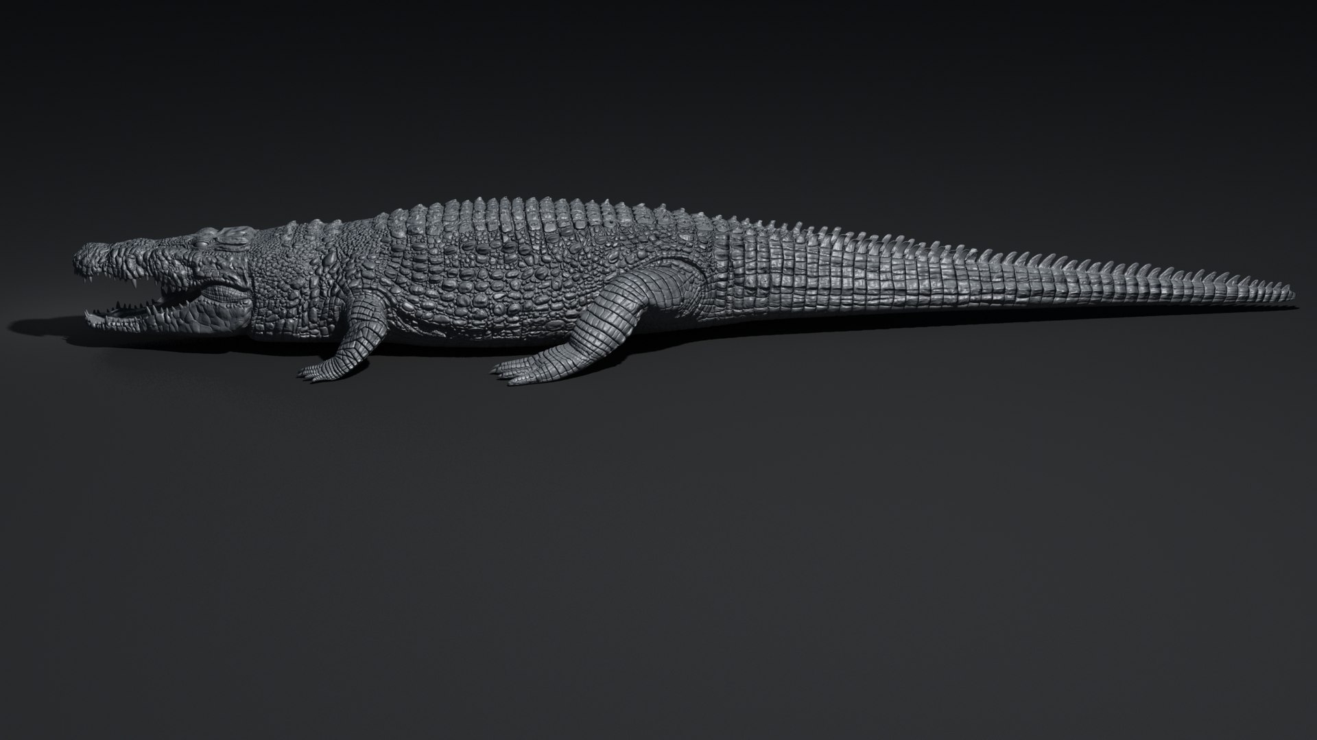 3d realistic crocodile rigged model