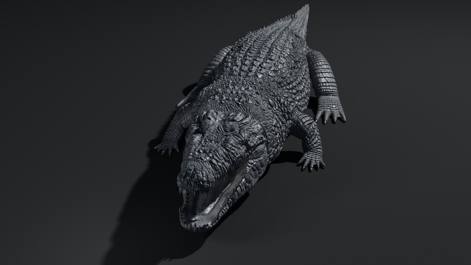 3d realistic crocodile rigged model