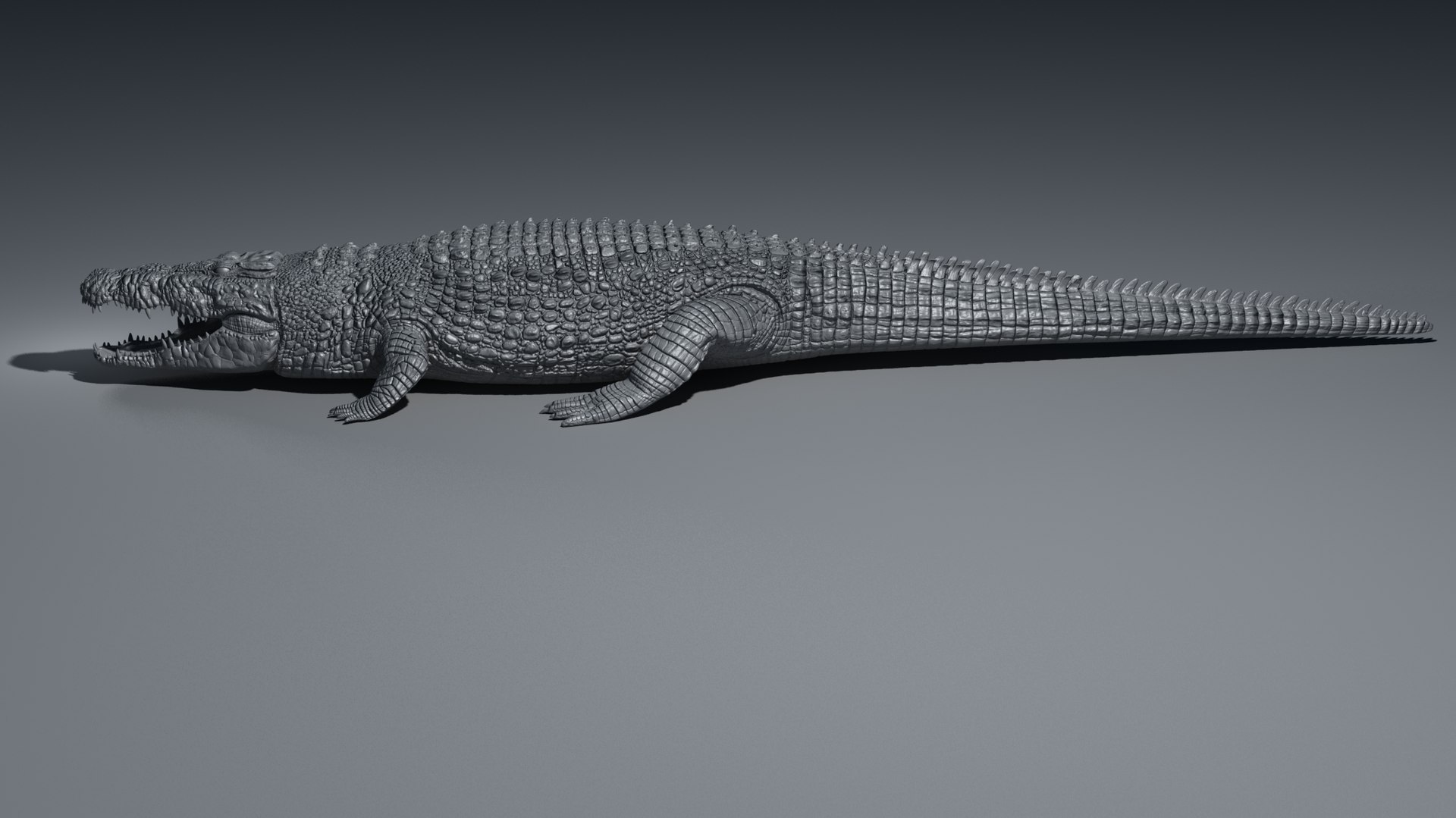 3d realistic crocodile rigged model