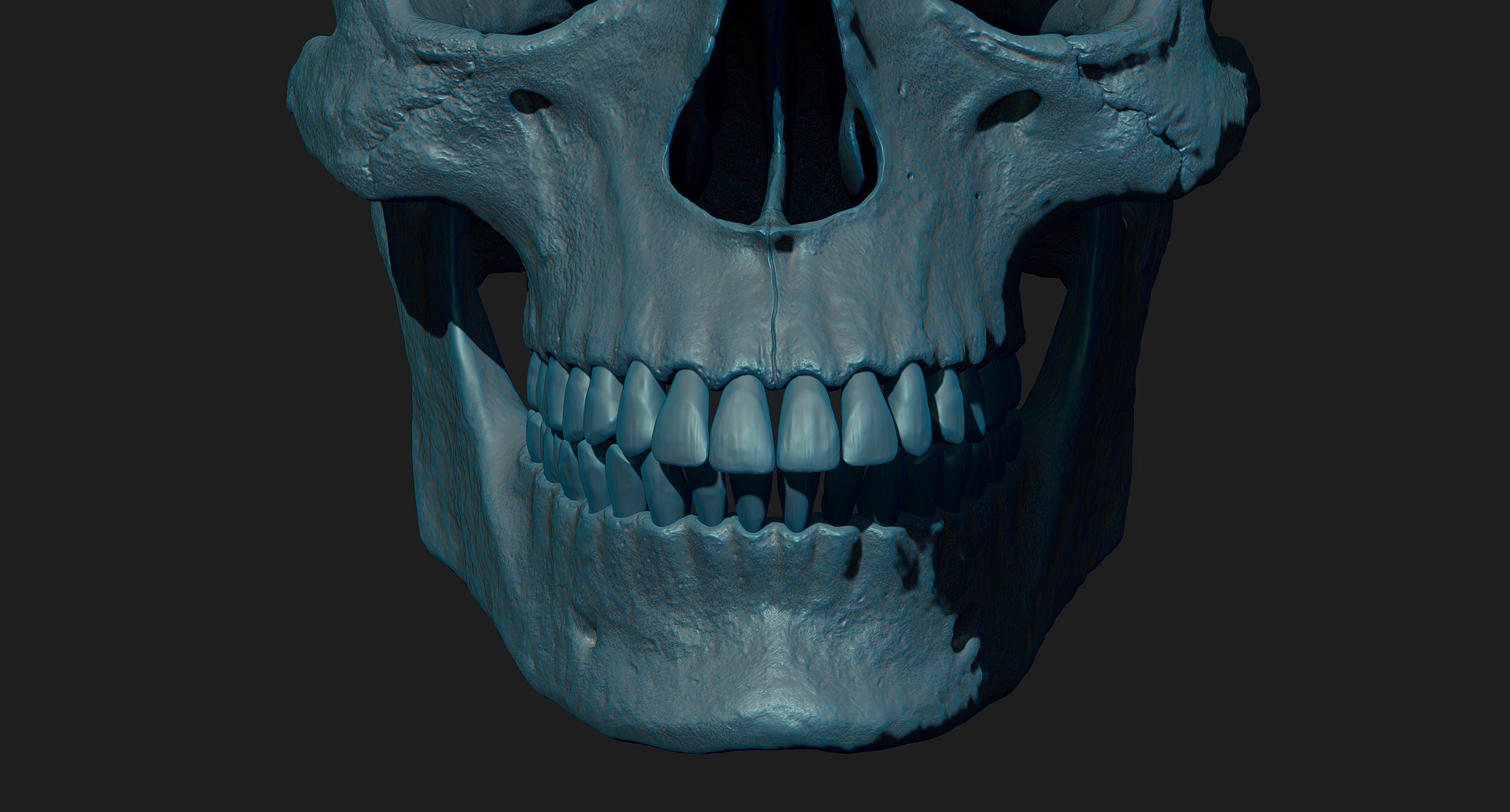 3D human skull - TurboSquid 1255673