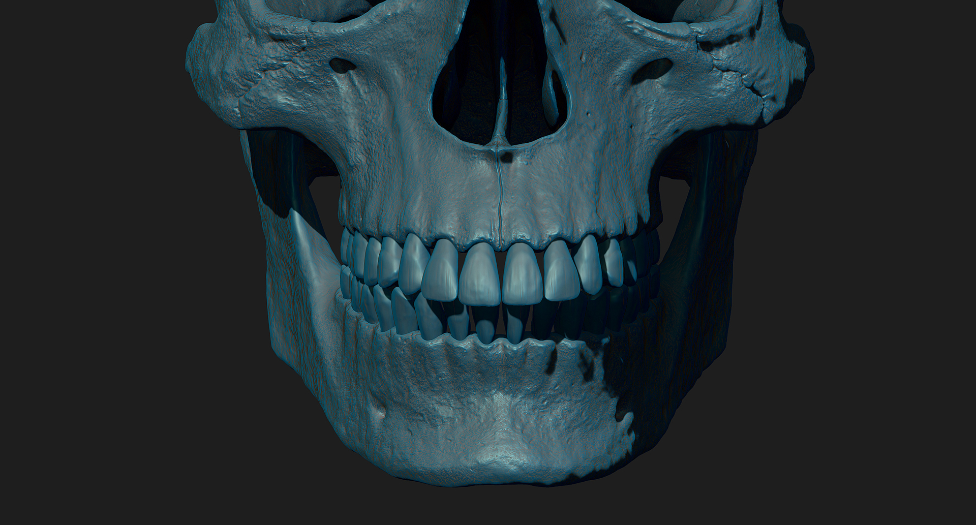 3D модель Модель человеческого черепа Zbrush - TurboSquid 1255673