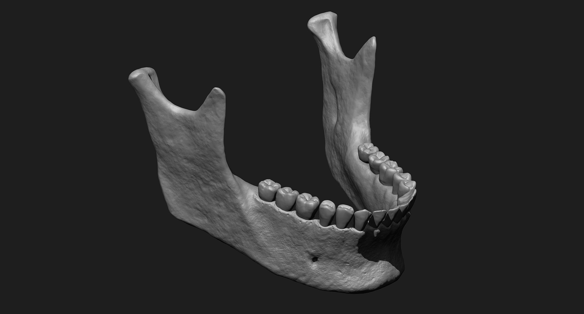 3D human skull - TurboSquid 1255673