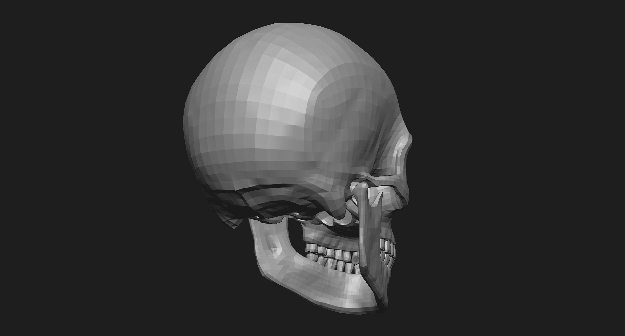 3D модель Модель человеческого черепа Zbrush - TurboSquid 1255673