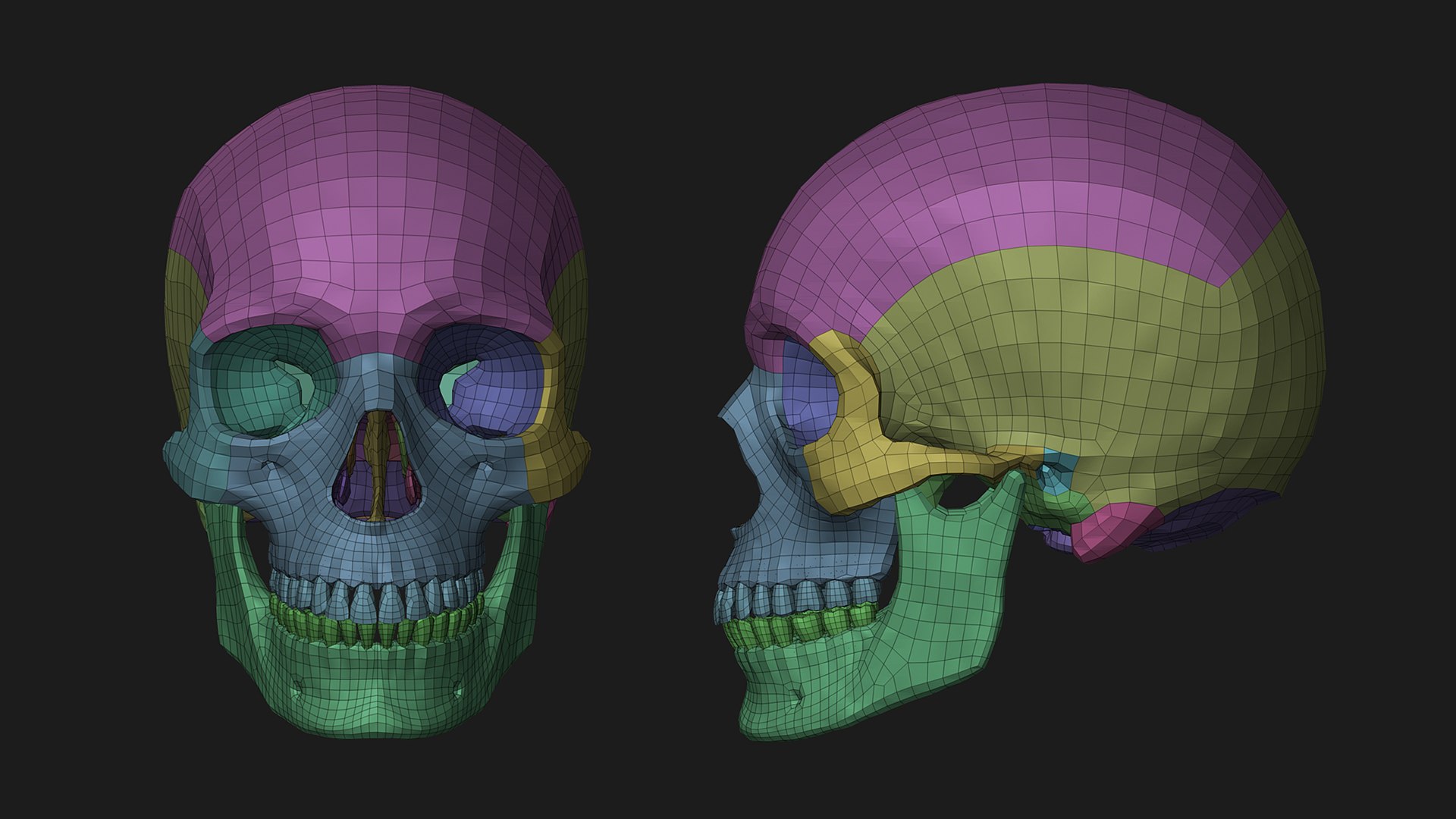 3D human skull - TurboSquid 1255673