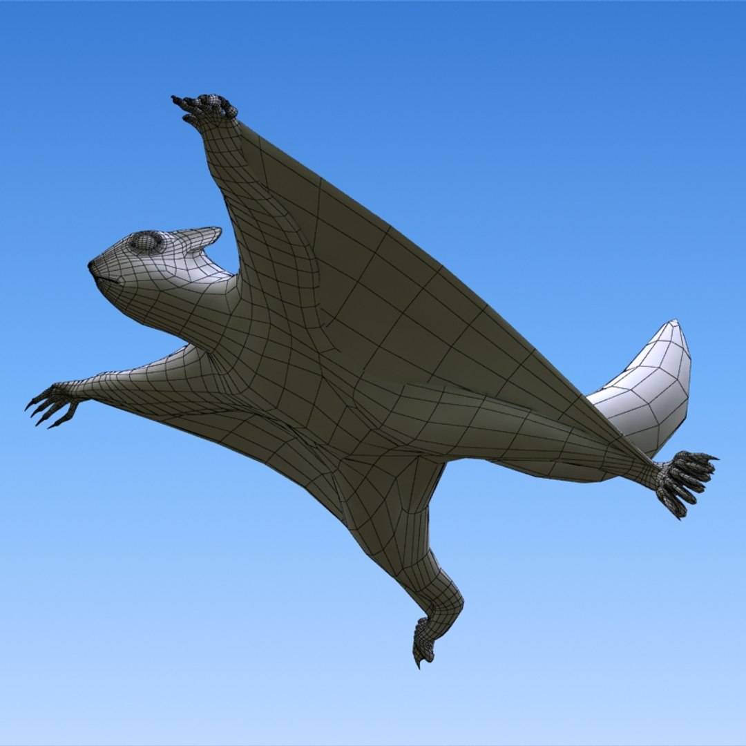 3ds Flying Squirrel
