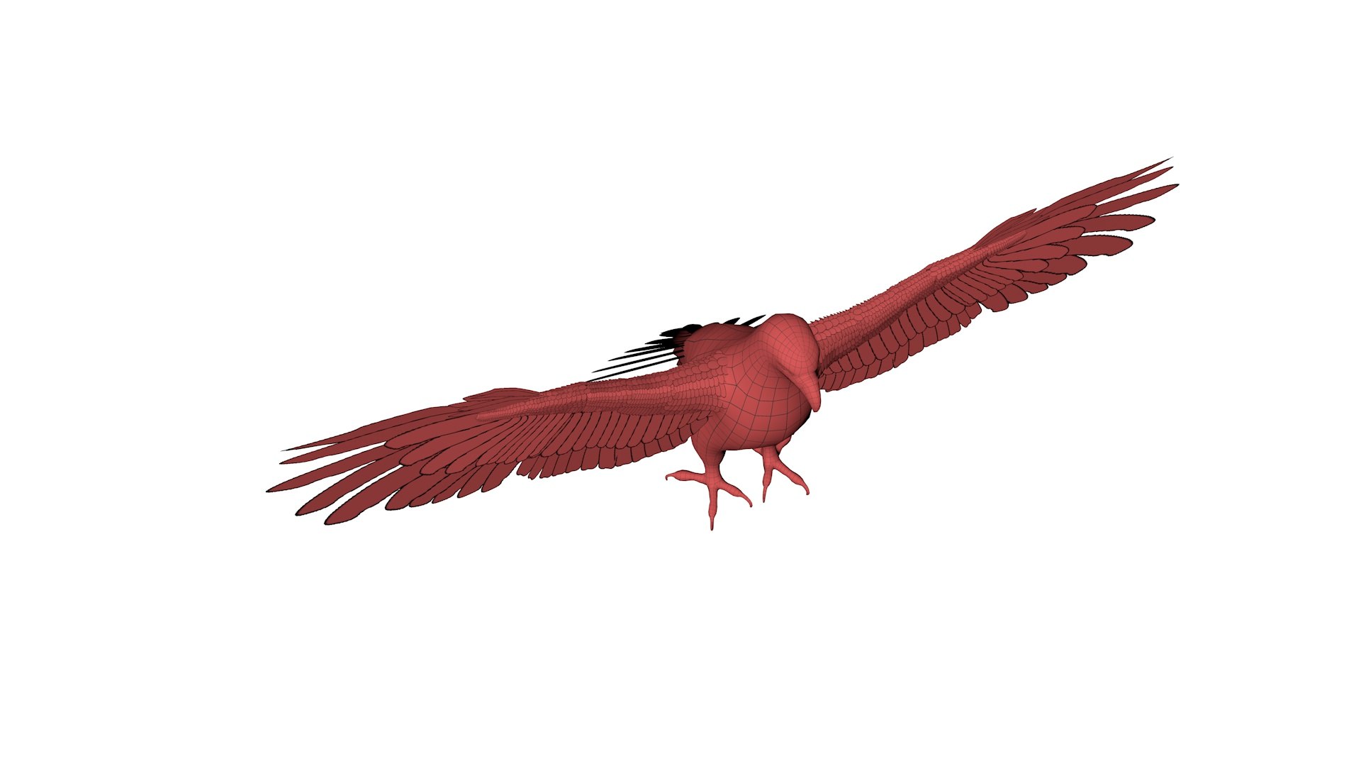 Mesh Eagle 3D Model - TurboSquid 1659631