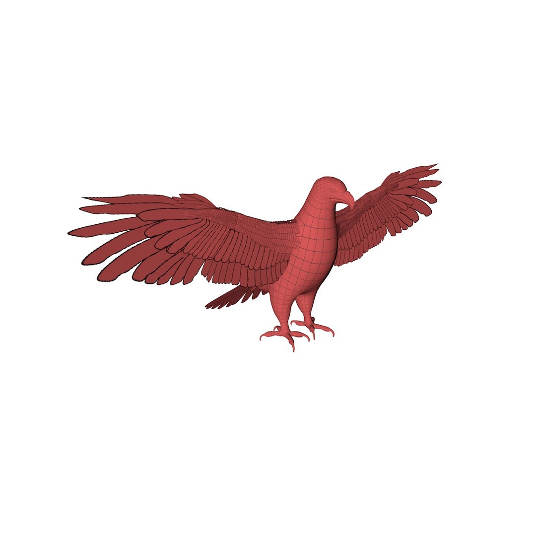 Mesh Eagle 3D Model - TurboSquid 1659631
